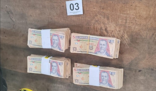 Le encuentran cuarenta colmillos de coca en allanamiento | Nuestro Diario