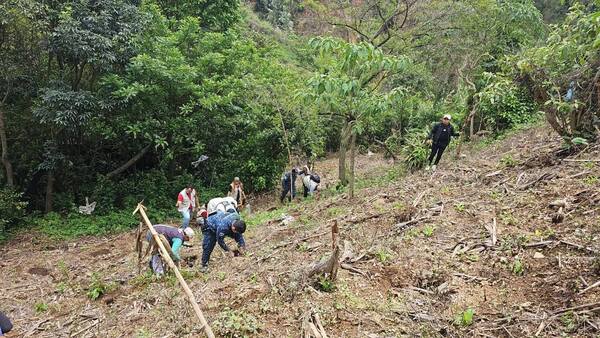 Llevan a cabo proyecto de reforestación en la comunidad | Nuestro ...