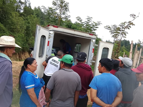 Hombre sobrevive con fracturas y golpes al caerle árbol | Nuestro ...