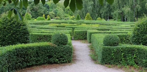 Soñar con un laberinto refleja la confusión y obstáculos | Nuestro Diario