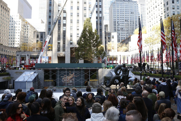 Espíritu navideño llega a NY con árbol del Rockefeller Center | Nuestro ...