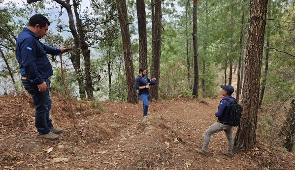 Programas promueven la conservación y protección de bosques | Nuestro Diario