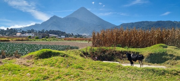 Tierra fértil de Quetzaltenango es clave para los cultivos | Nuestro ...