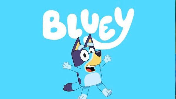 Conoce la historia de Bluey, la hermosa cachorra azul | Nuestro Diario ...